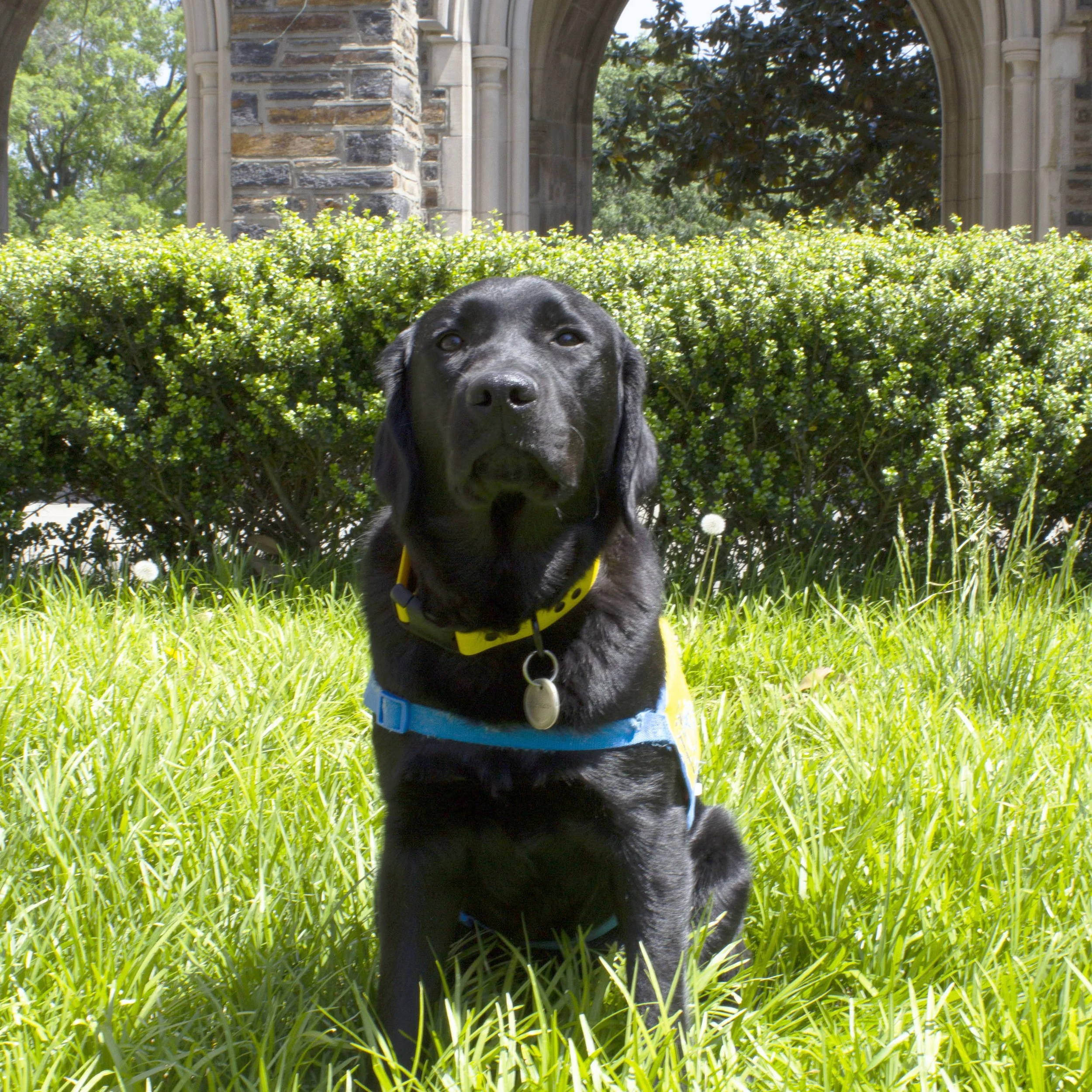 Team 1 — MCHENRY LAB