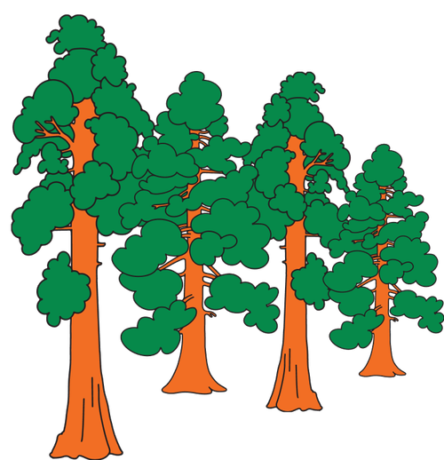 Lineup — Stern Grove Festival