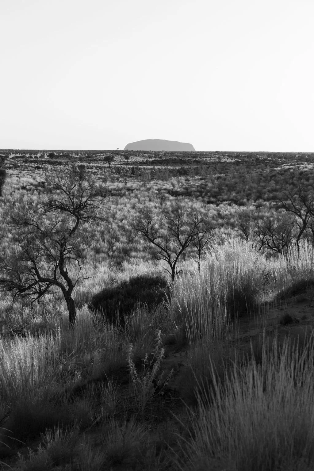 Experiencing Uluru: A Surreal Outback Adventure — Beat The Bucket List