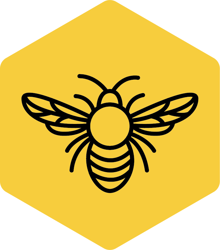 Shelise Ann Sola — The Utah Bee