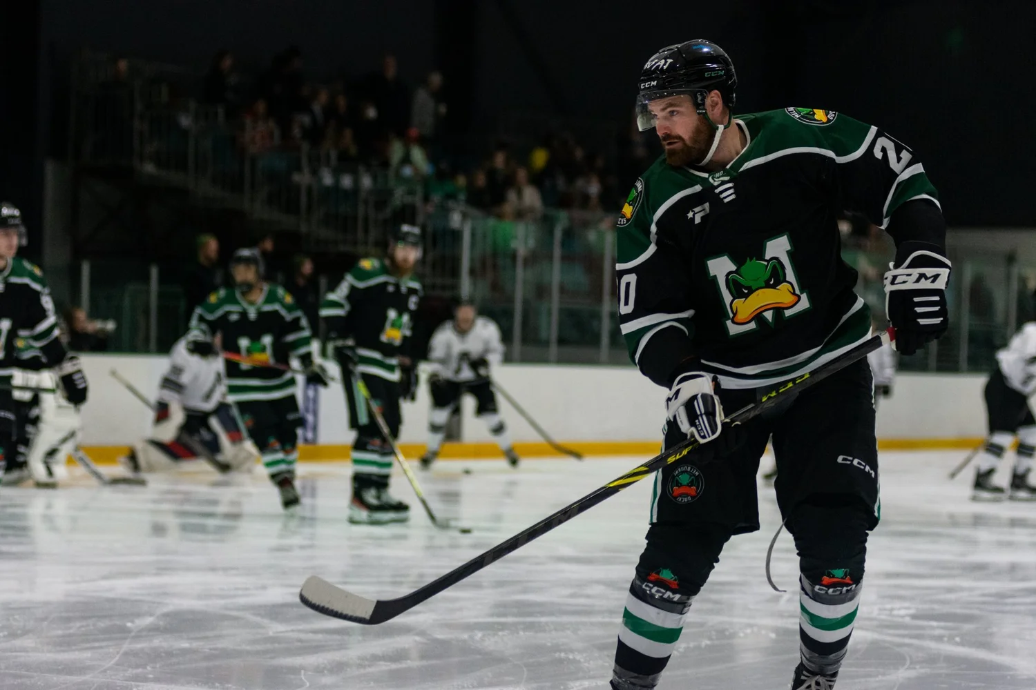 About the Melbourne Ducks — Ducks Hockey
