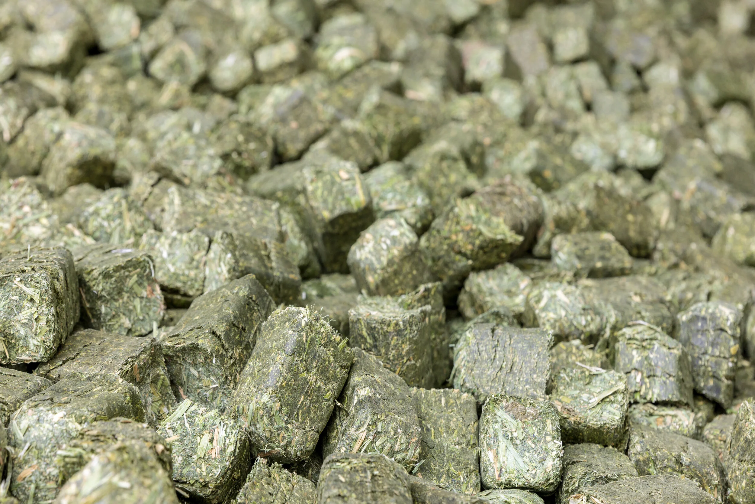 Alfalfa Hay Cubes - American Hay, LLC