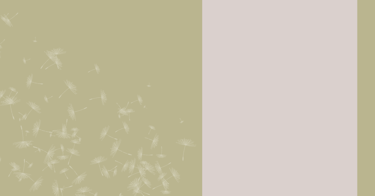 Services — Debra Menase Health & Lifestyle Changes