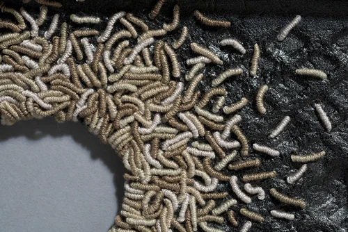 Bacteria embroidery Petri dish art Petri dish embroidery — Ruth Tabancay