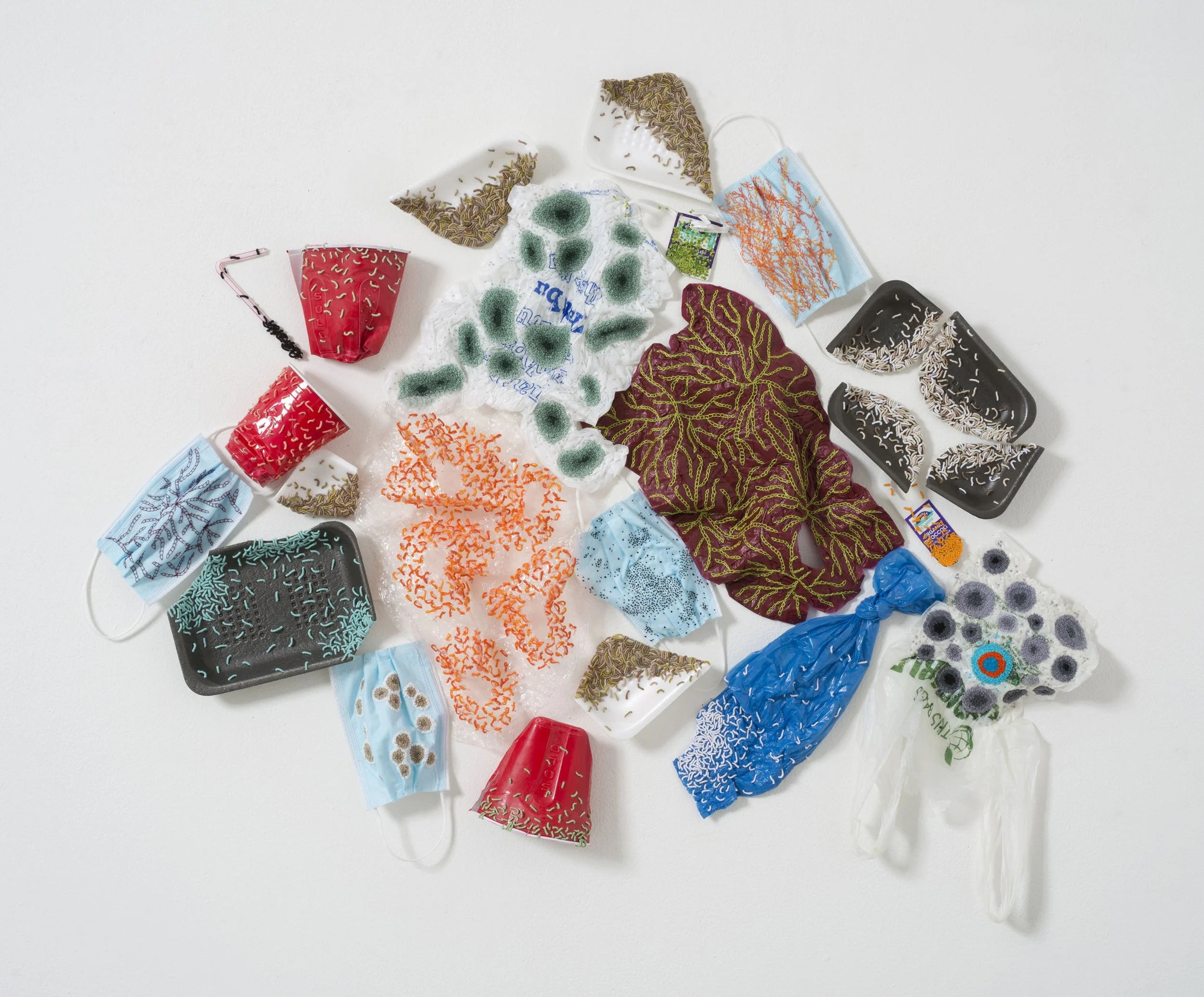 Bacteria embroidery Petri dish art Petri dish embroidery — Ruth Tabancay