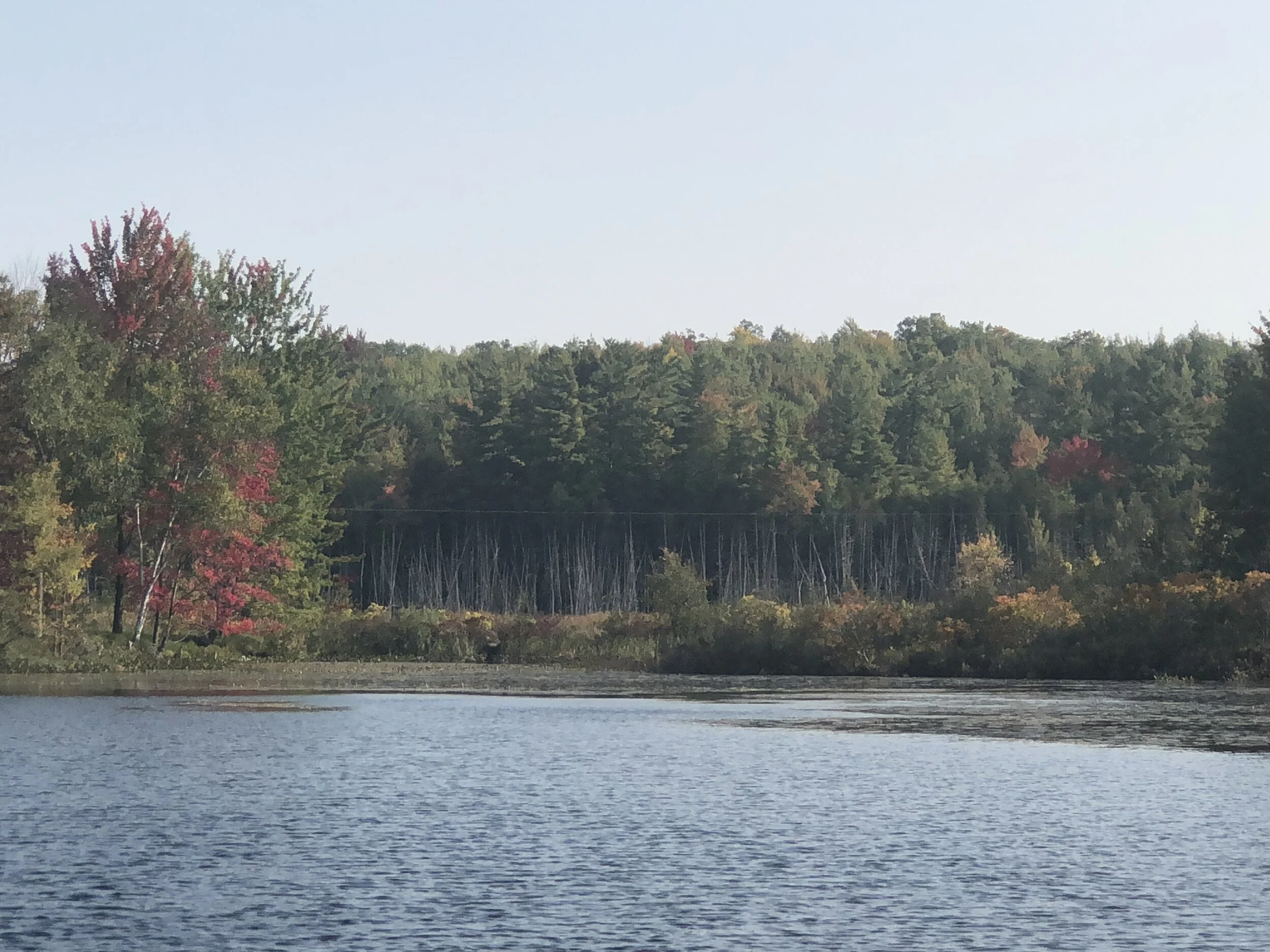 Crooked Lake — Garfield Township