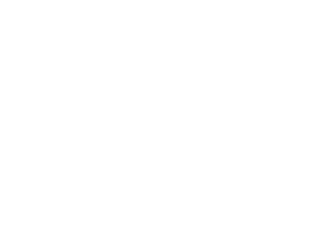 Fortress Balance Sheetâ â Fortefina Capital Partners