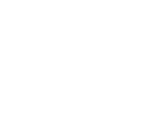 Fortress Balance Sheet™ — Fortefina Capital Partners