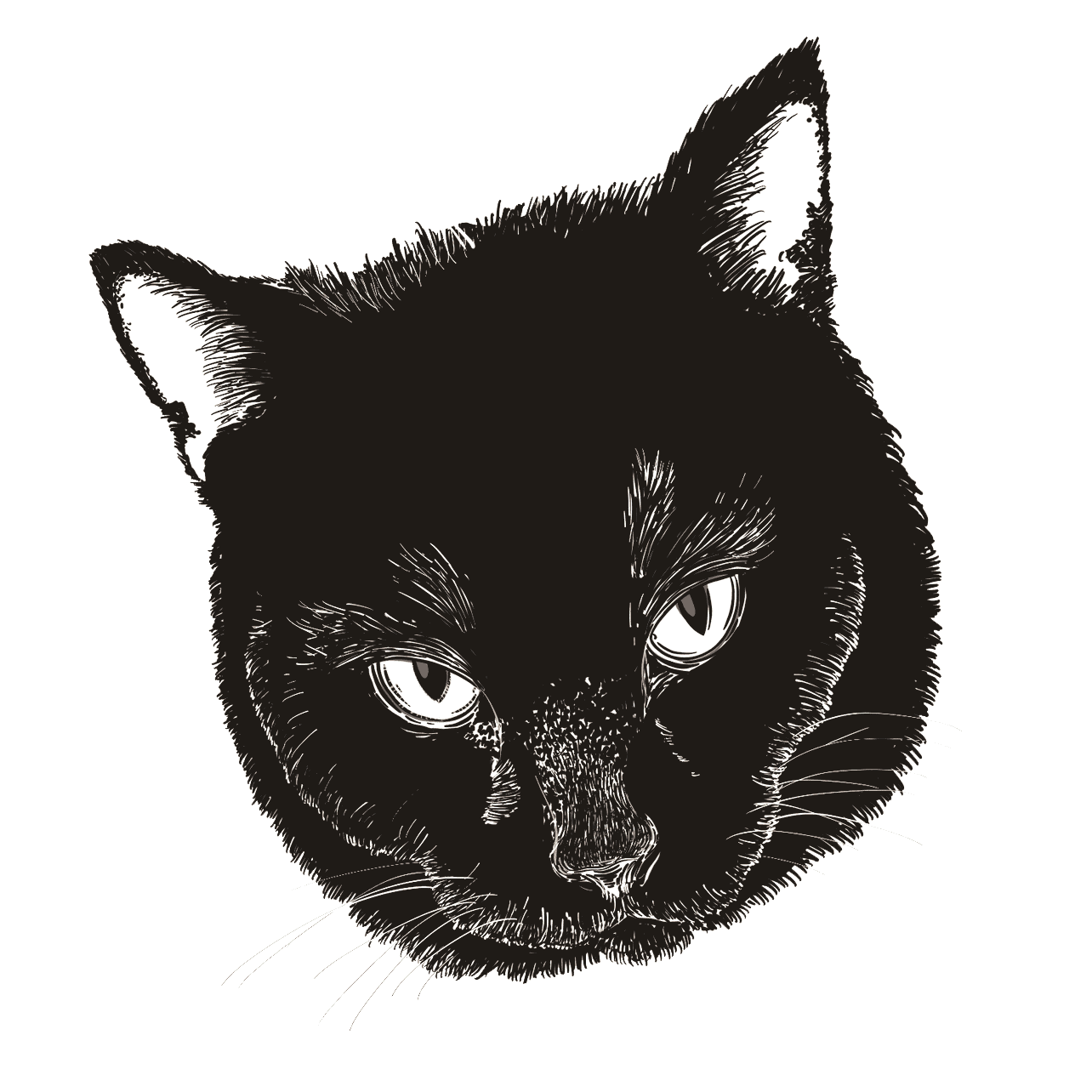 Bewitched Beans Coffee Bag Design — Flora Illustration