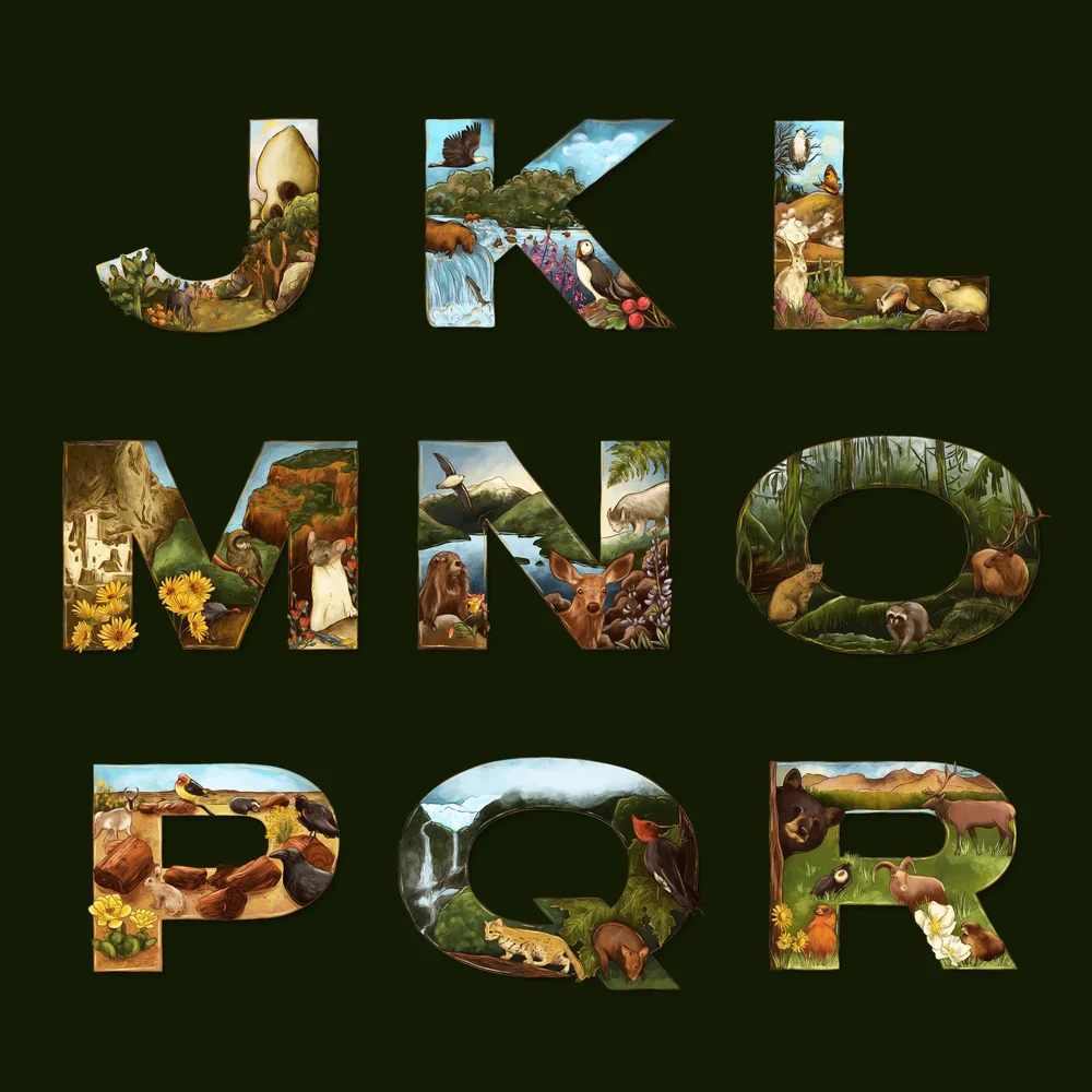 Illustrated Nature Lettering and Alphabet — Flora Illustration