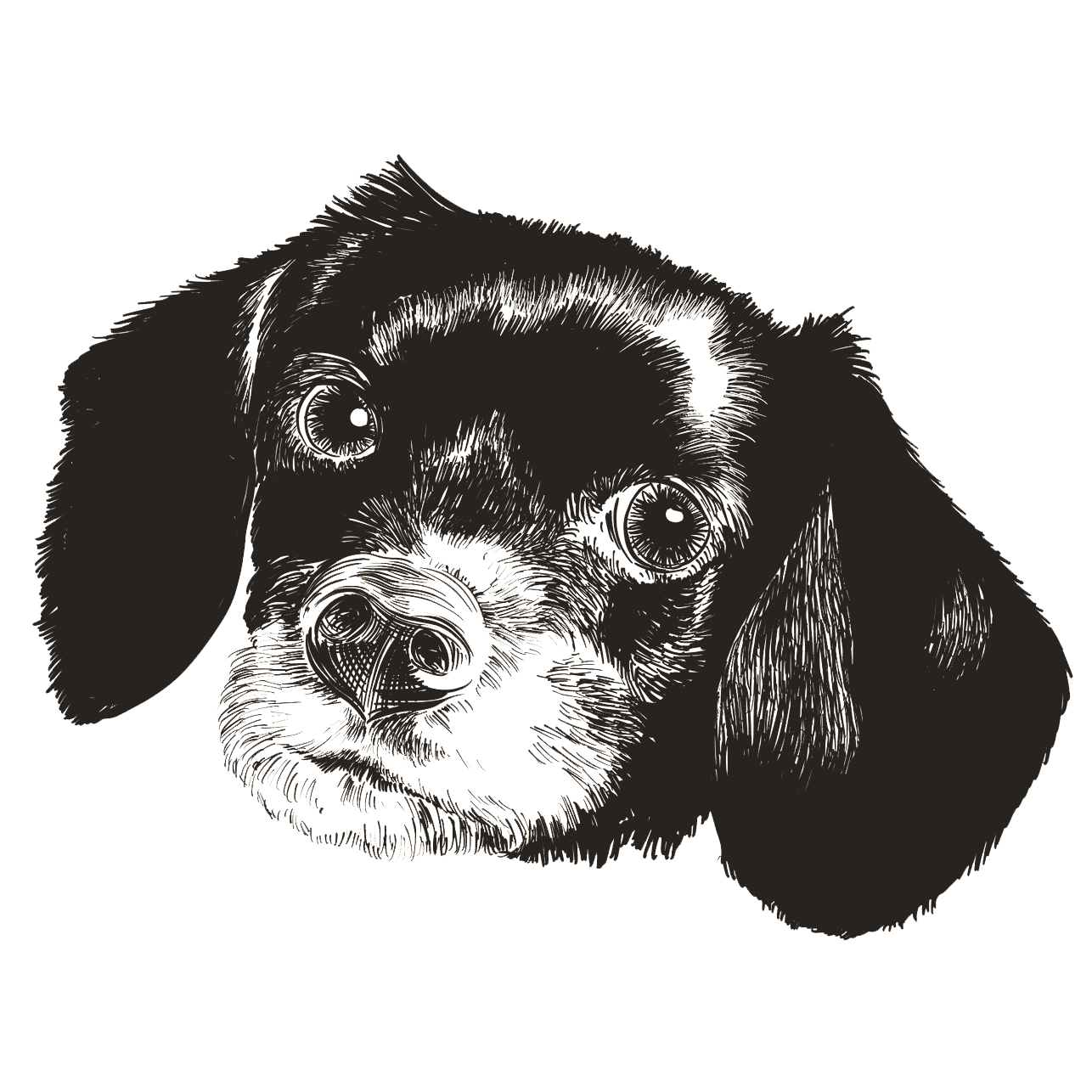 Bewitched Beans Coffee Bag Design — Flora Illustration