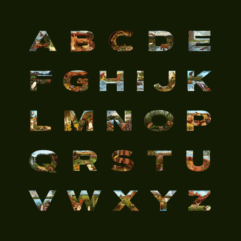 Illustrated Nature Lettering and Alphabet — Flora Illustration