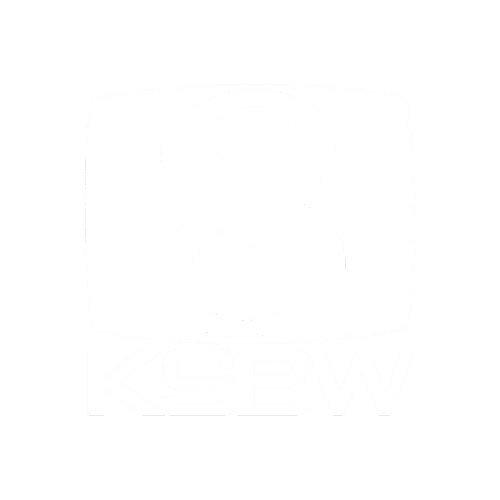 She Persisted- Teen Mental Health Podcast