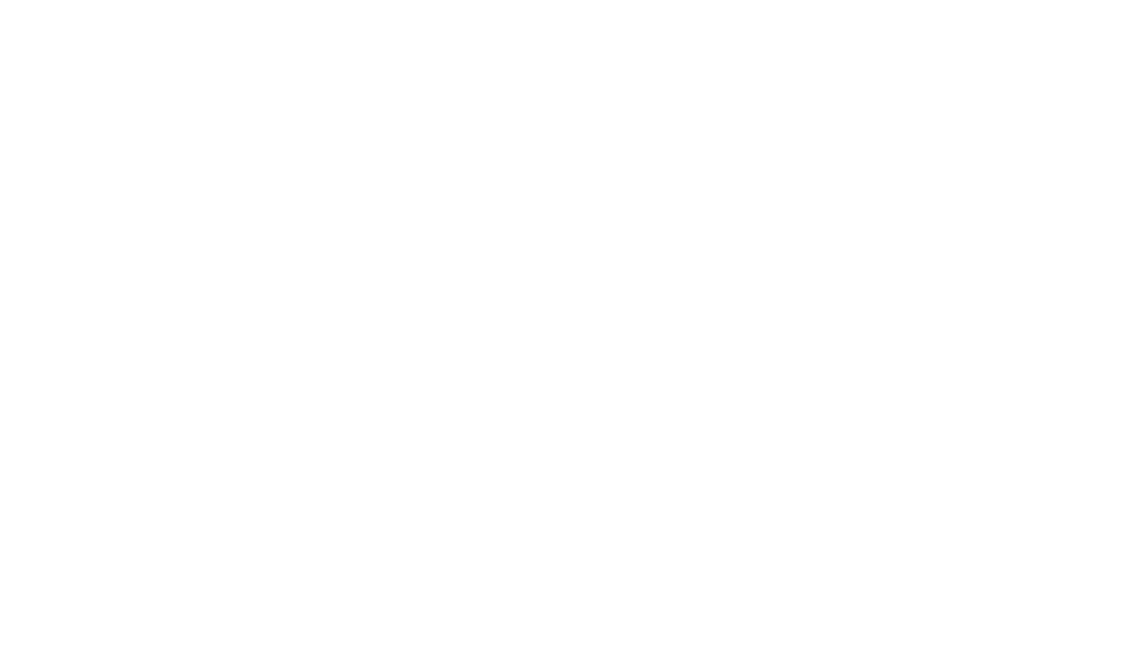 riddlefirearms.com