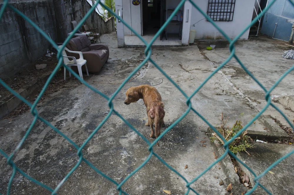 Major Success Stories — The Sato Project