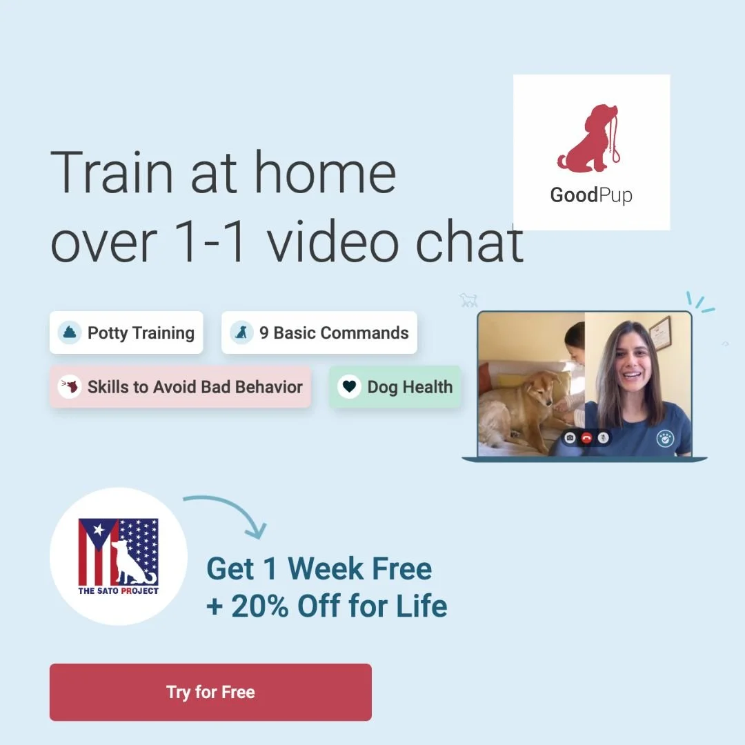 Links — The Sato Project