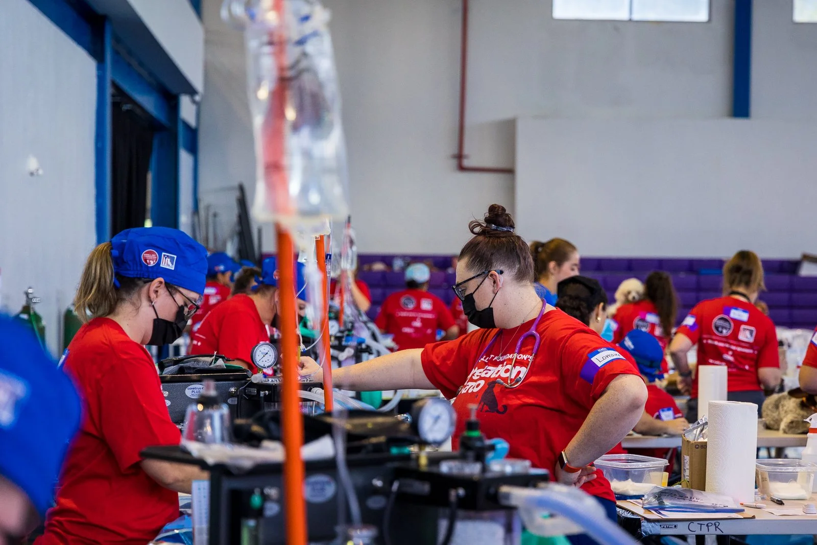 Donate — The Sato Project