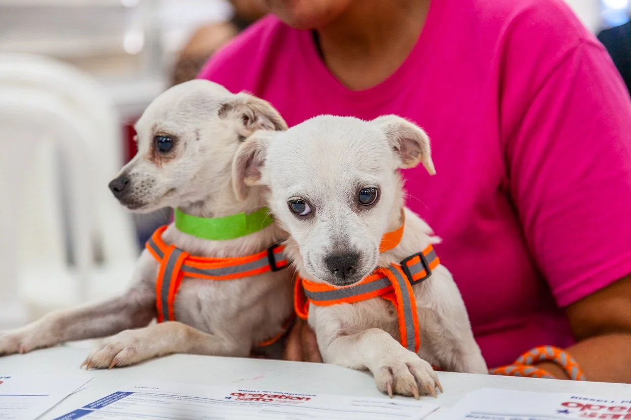 Partnership Opportunities — The Sato Project