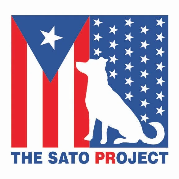 What is a Sato Dog? — The Sato Project
