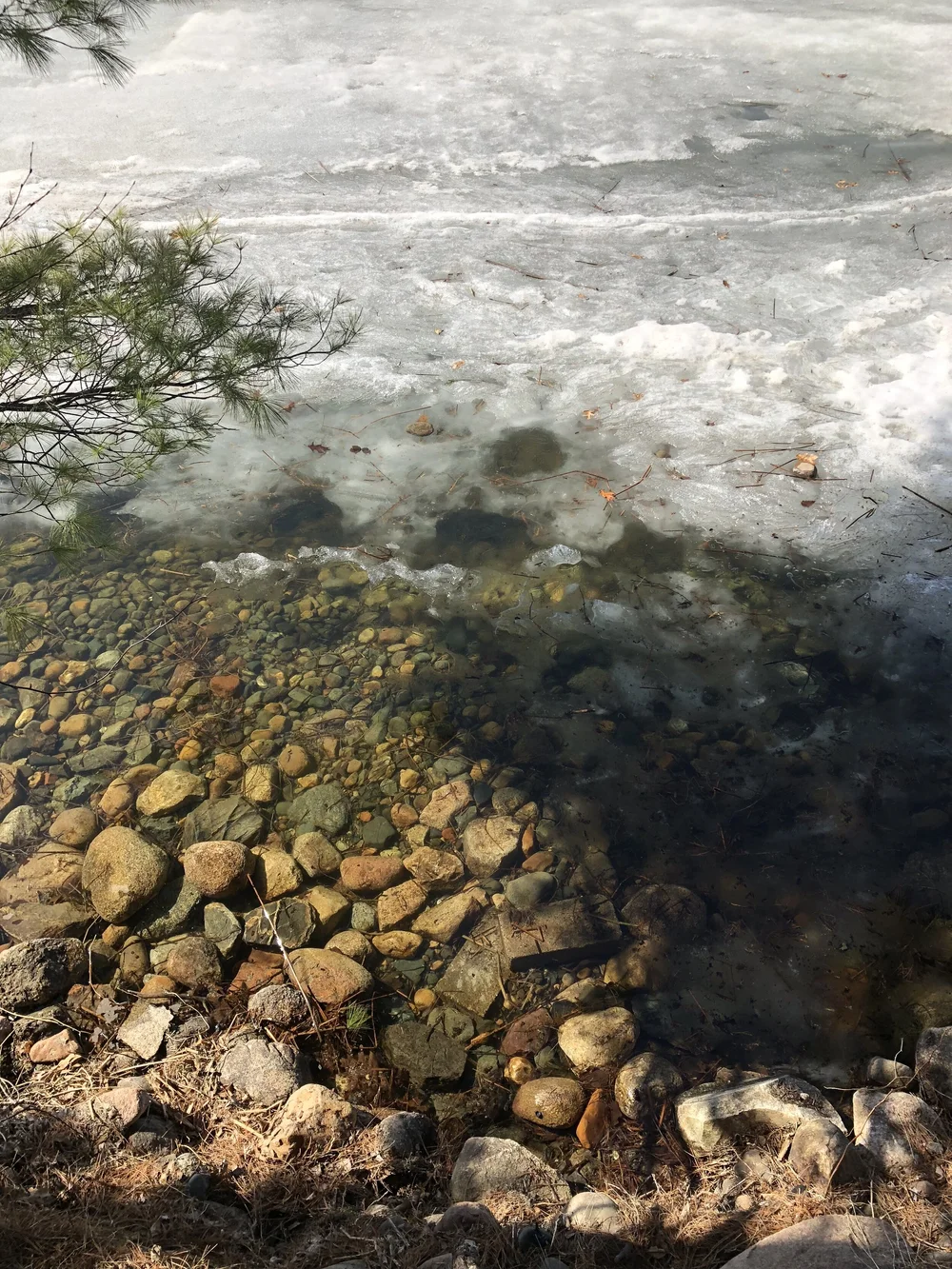 Shoreline Management — Lake Hubert Conservation Association