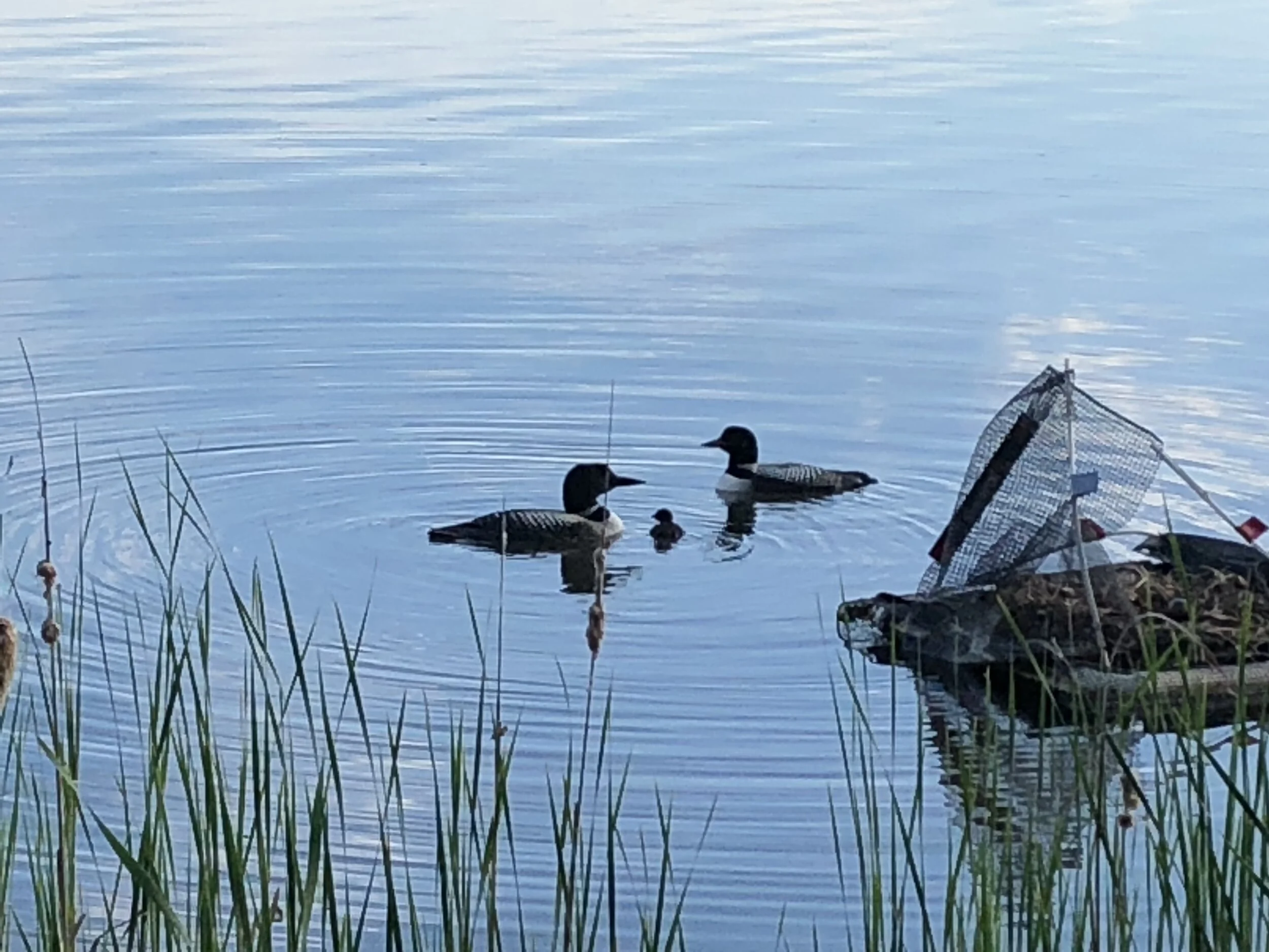 General 2 — Lake Hubert Conservation Association