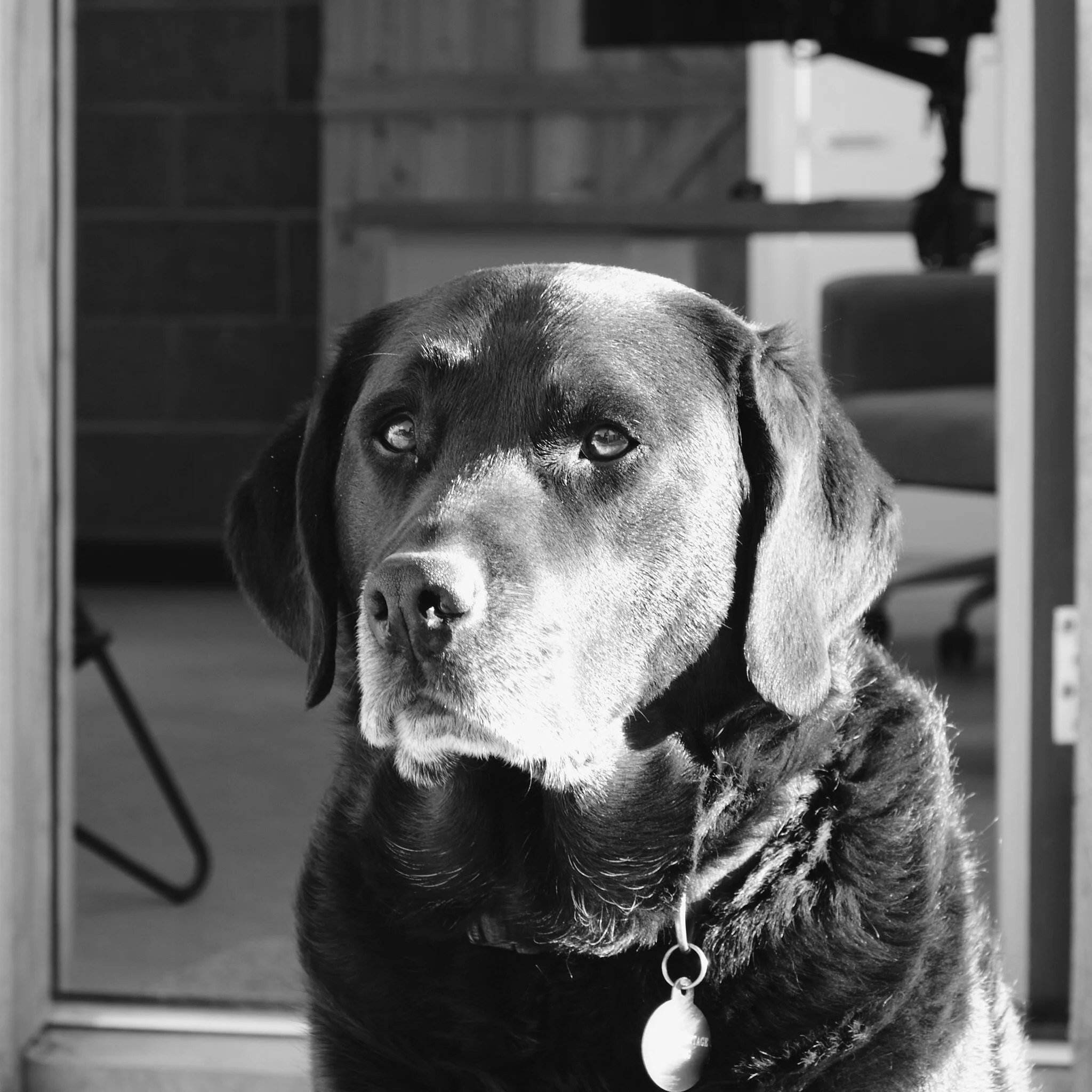 who — Peter Rayment Design Ltd