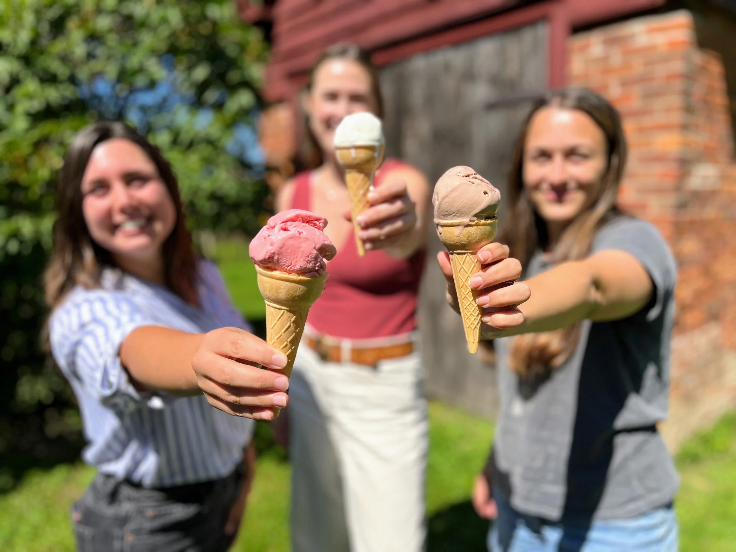 Introducing The Homestead Creamery — The Brown Homestead