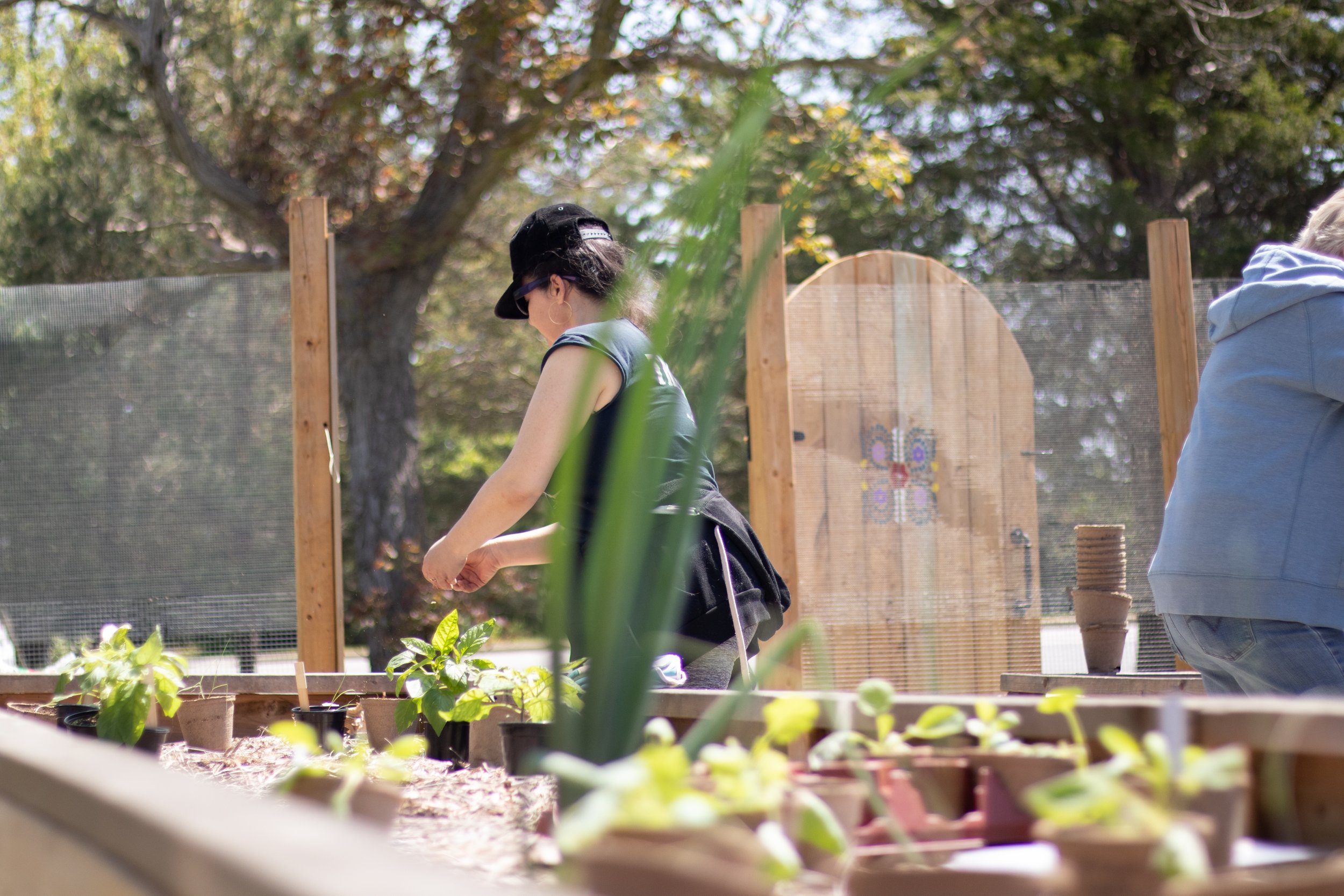 Grow @ the Homestead — The Brown Homestead