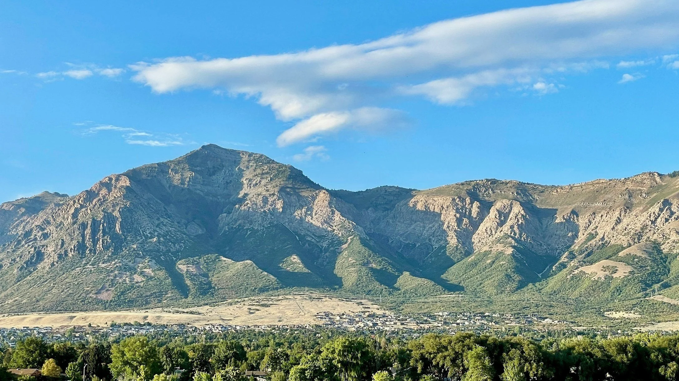 Central Billing Office: Medical Billing and Practice Management