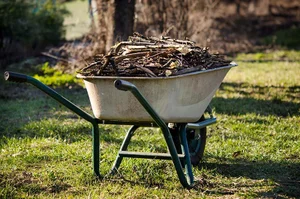 Lawn Maintenance to Full-Service Landscaping Maintenance & Plantings ...