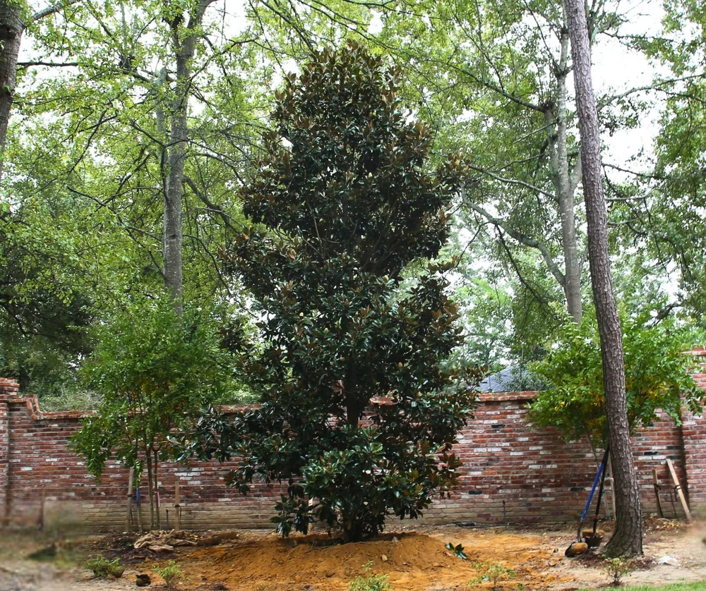 THE NURSERY — Cold Creek Nurseries | Garden, Landscaping, Food & Local ...