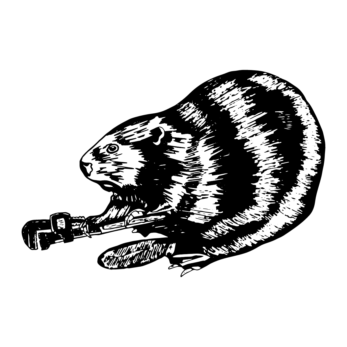 Beaver Contracting Branding And Logo Design — Vincit Design Co.