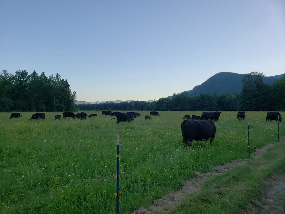 American Alps Ranch