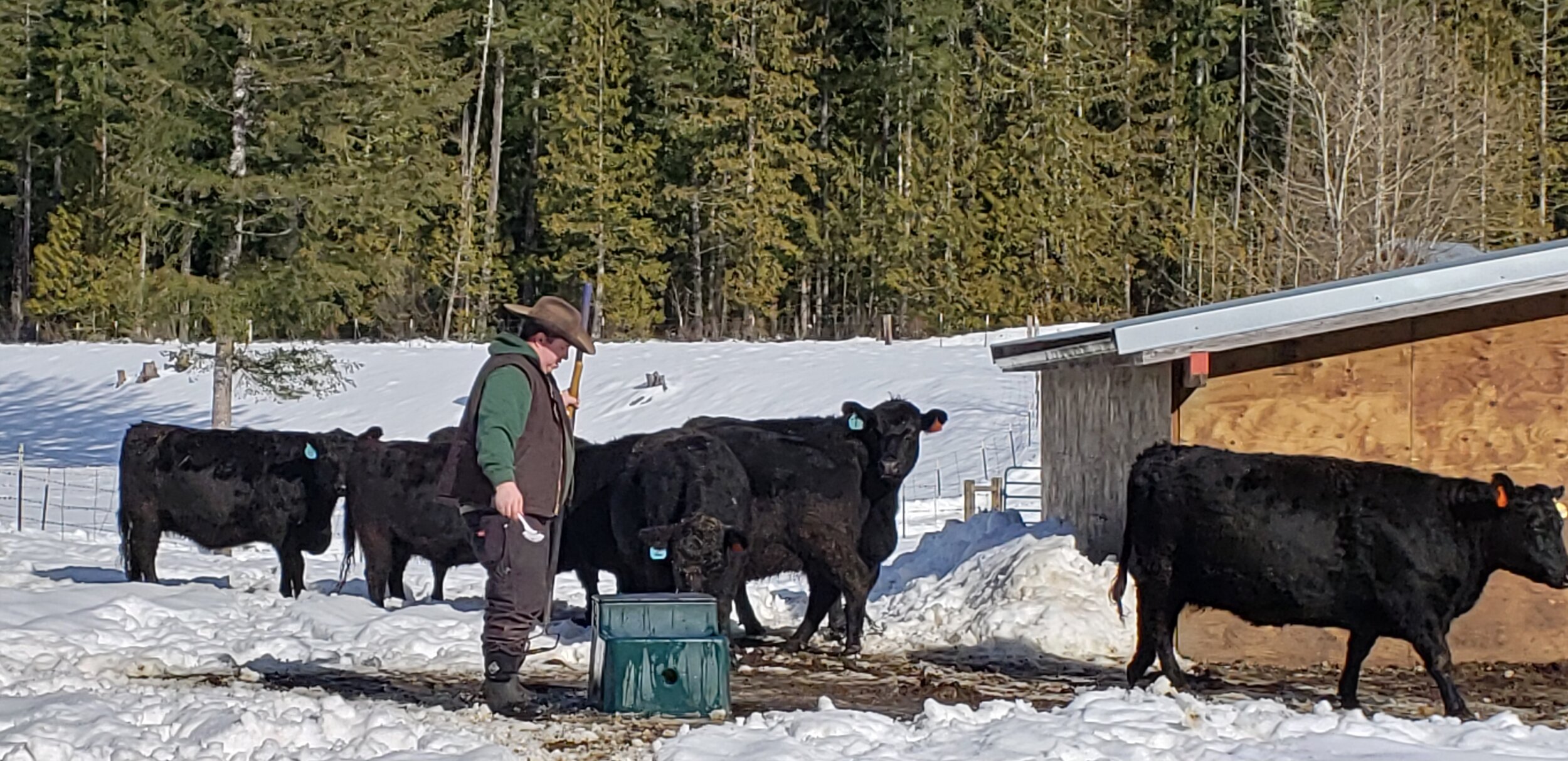 About — American Alps Ranch