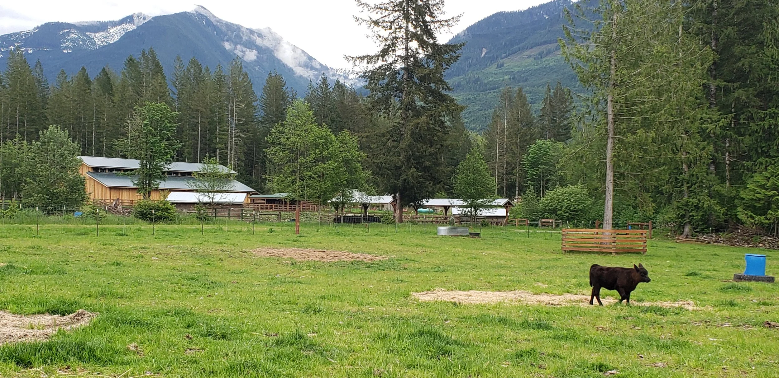 About — American Alps Ranch