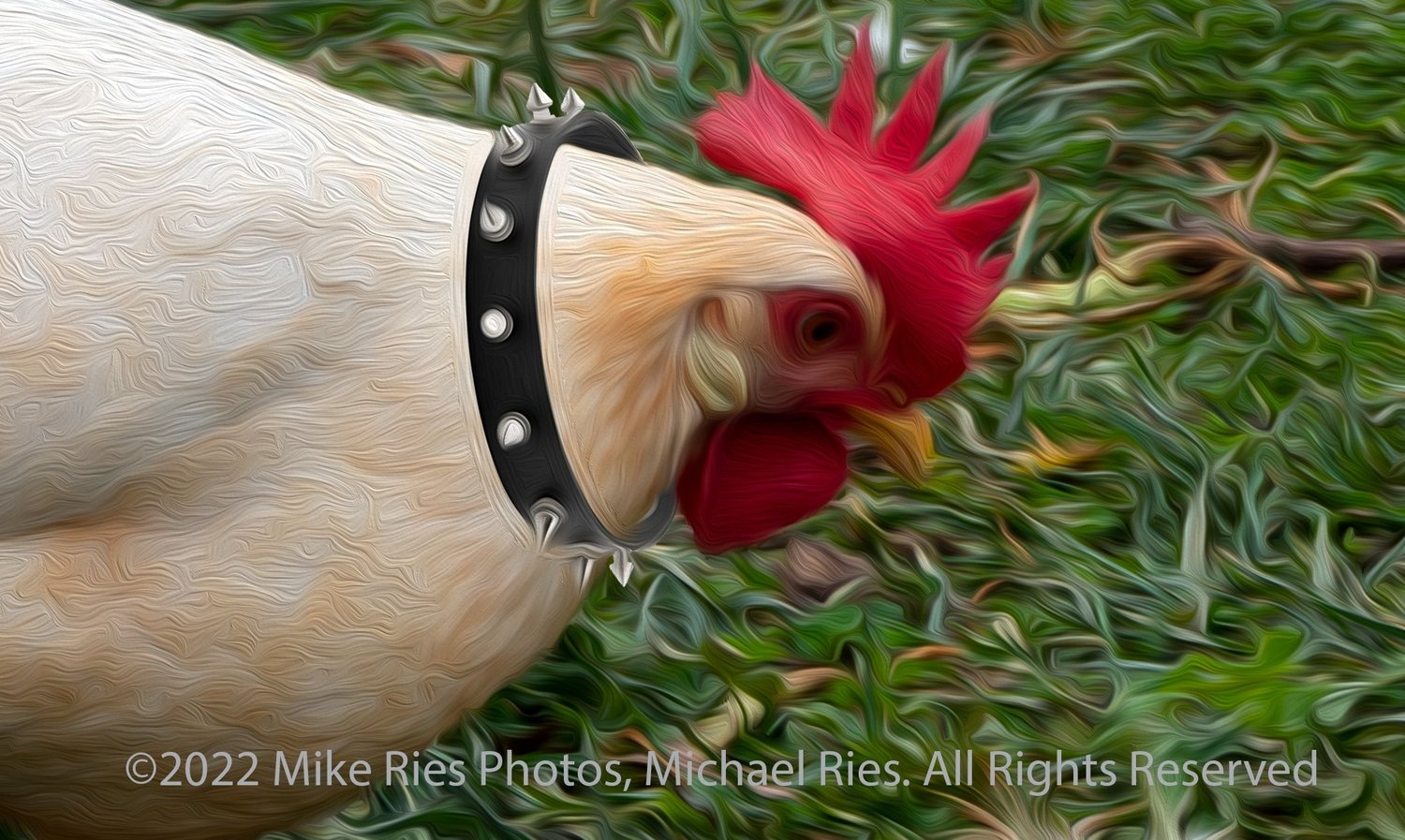 Full Metal Chicken — Mike Ries Photos