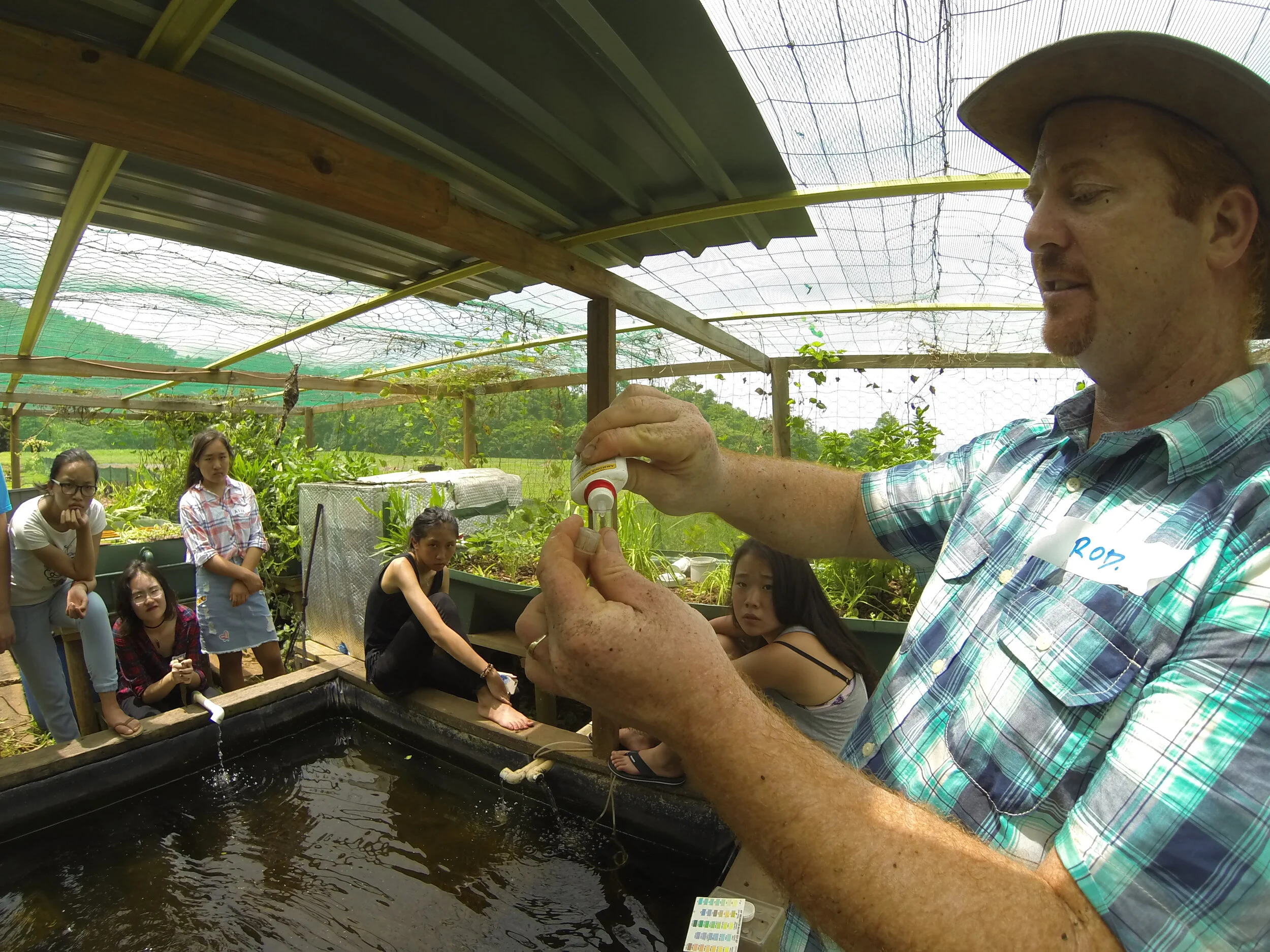 Learn DIY Aquaponic Gardening techniques through 24/7 Online & Live ...