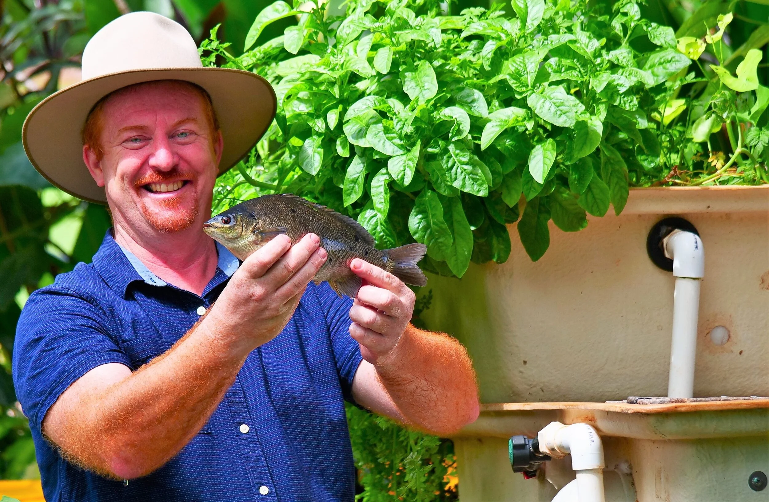 Services 2 — Aquaponic Gardener
