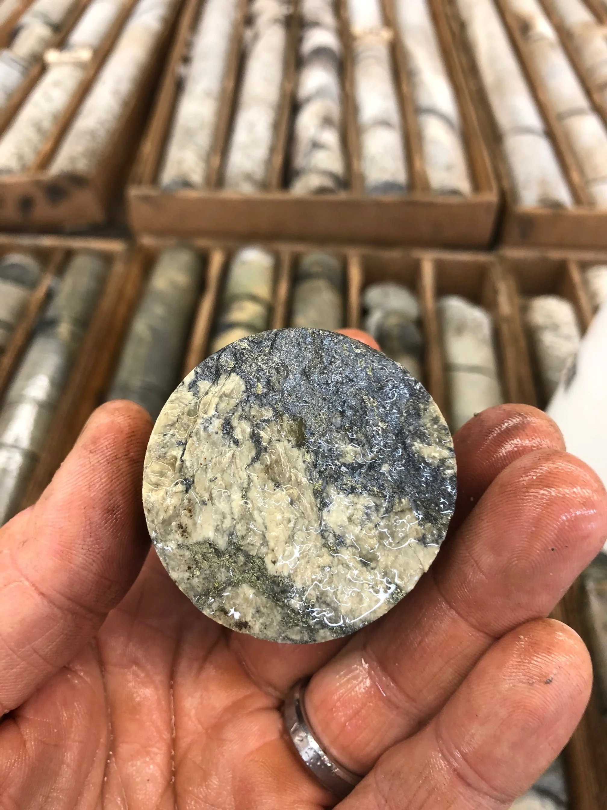 Core Logging and Geotech — Tamarack Geological Services, Inc