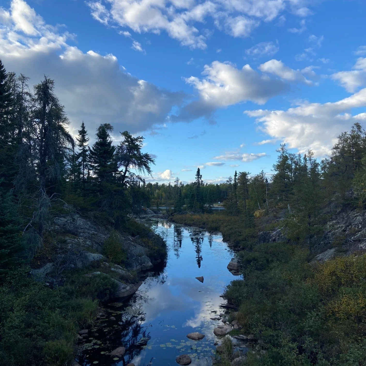 Tamarack Geological Services, Inc