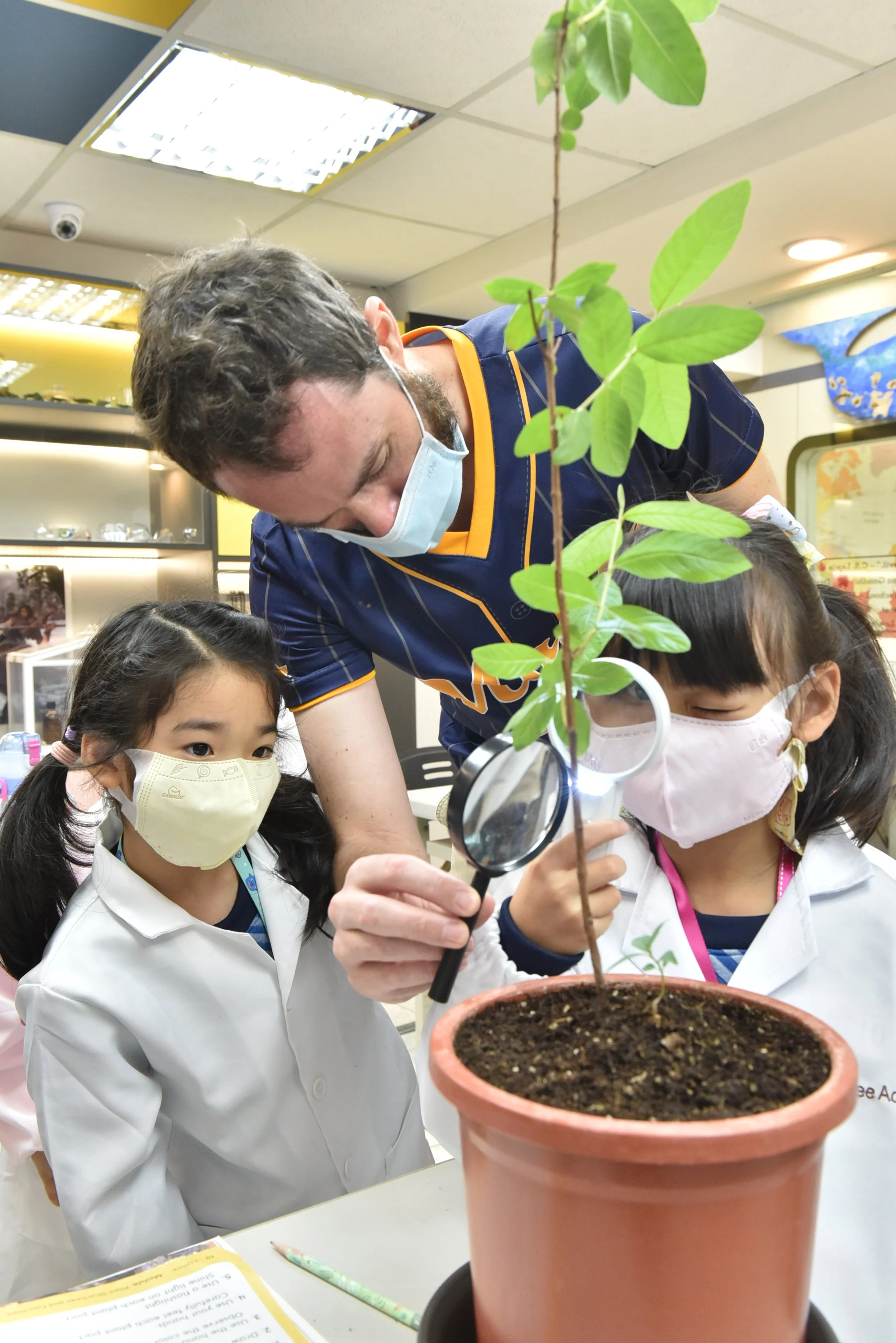 科學探索 Science Exploration — Maple Tree Academy