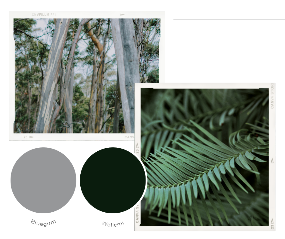 Colorbond Colours Inspired by Nature — MH Interior Design Interior ...