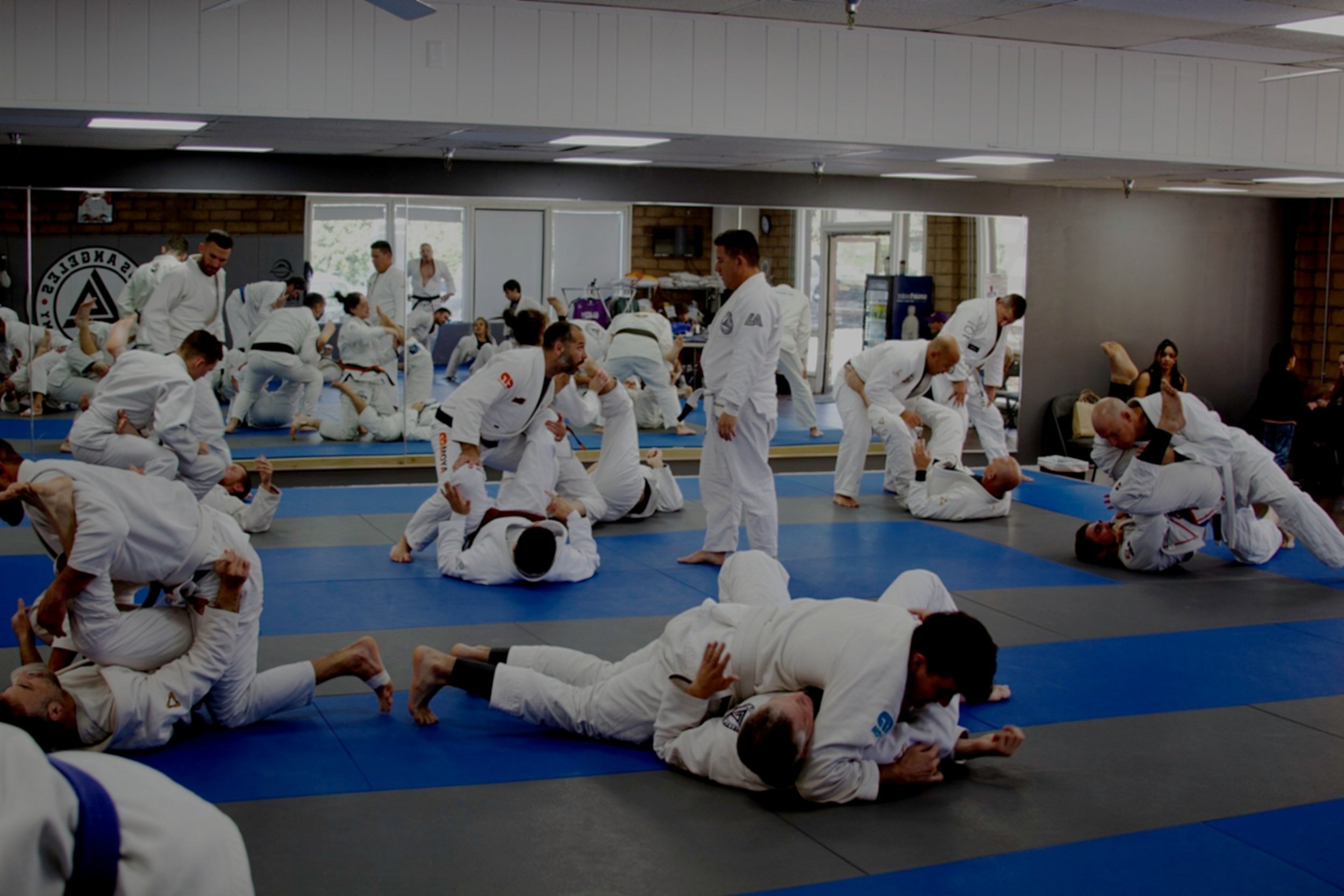 Jiu-Jitsu Classes in Los Angeles | Kids, Beginners & Advanced