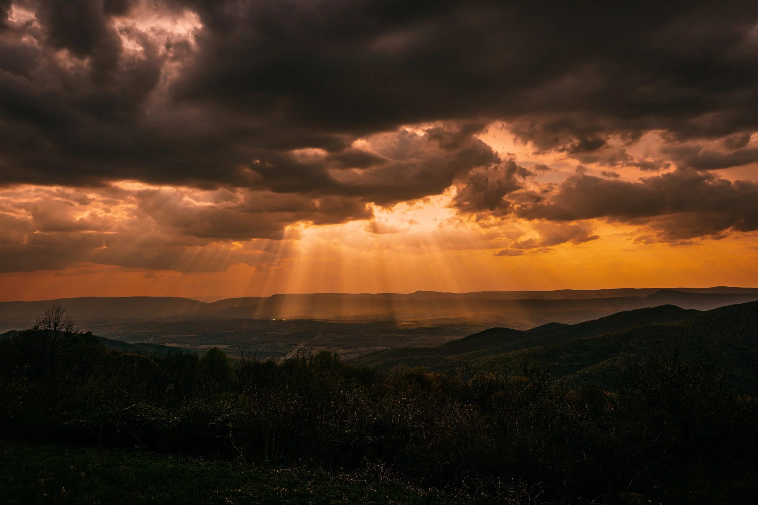 Hannah Broder Photography