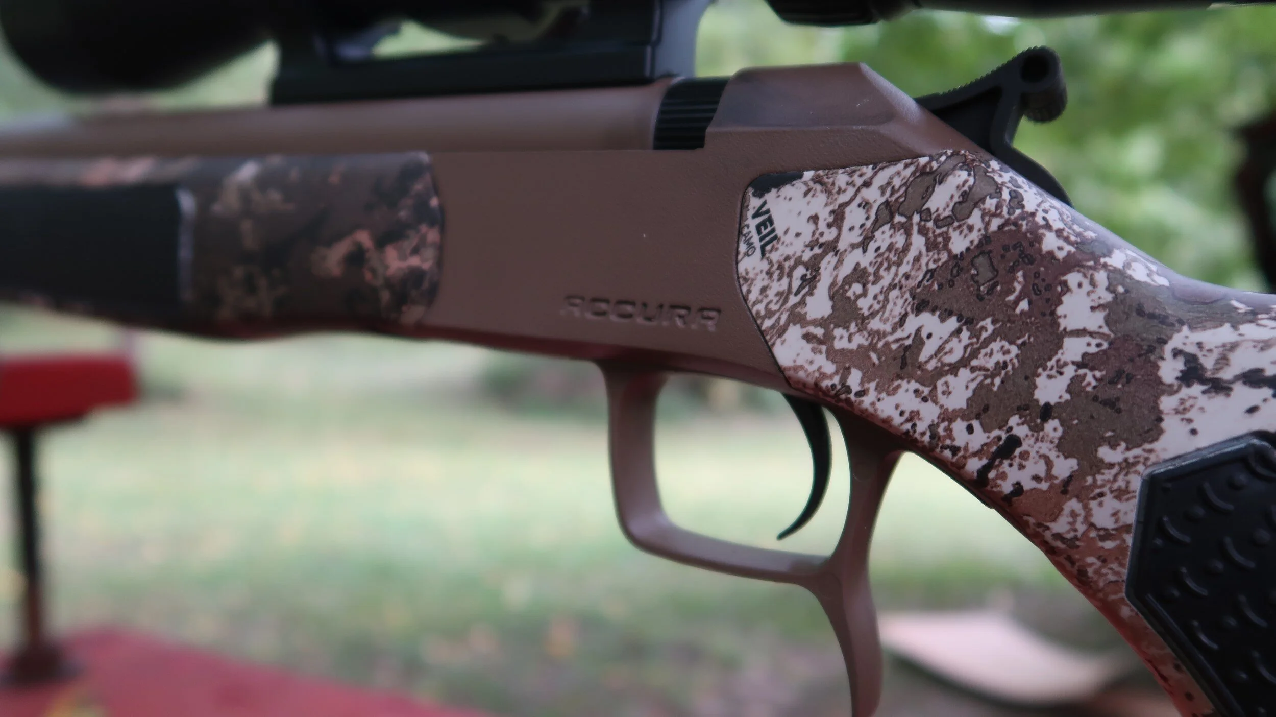 Testing THOR Bullets FULL BORE Muzzleloader Bullets in my CVA Accura LR ...