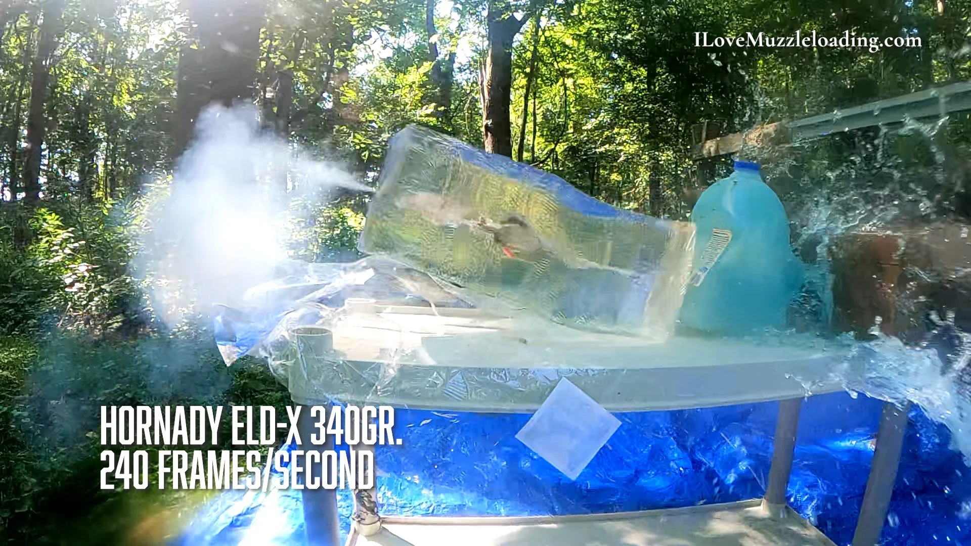 How effective are Bore Driver FTX Muzzleloader Bullets? | 100-yard ...