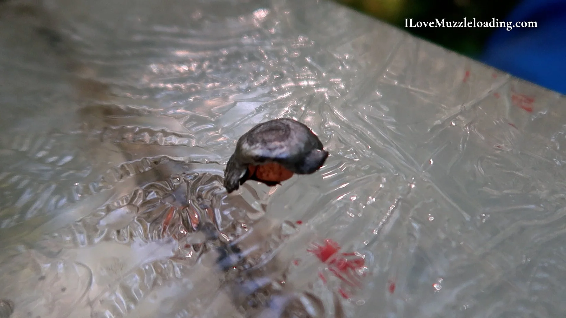 How effective are the Bore Driver ELD X Muzzleloader Bullets? | 100 ...