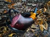 Let's Build a Buffalo Powder Horn | DIY blackpowder accoutrements — I ...