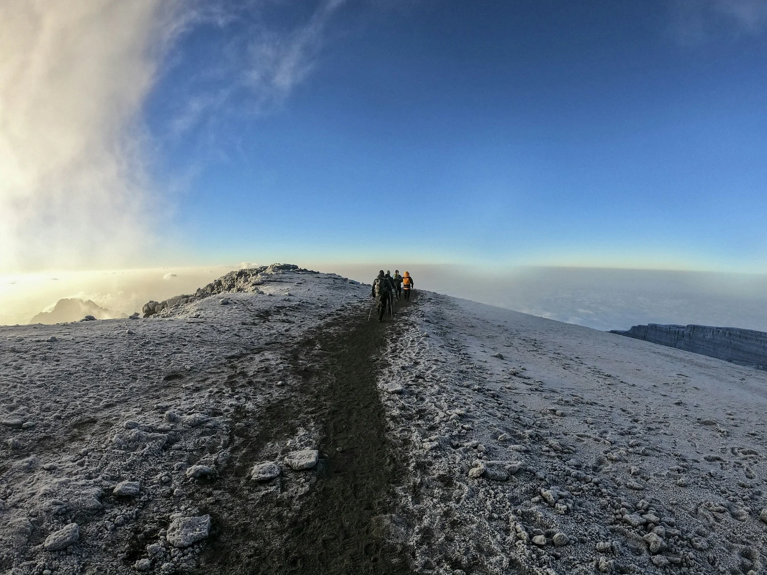 Newsletter — Mountain Goat Movement