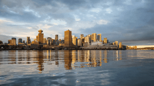 The Art of Cinemagraphs: Bringing Still Photos to Life (A Step-by-Step ...